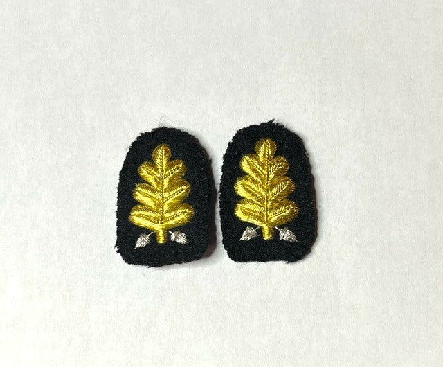 US NAVY Sleeve Device - Dental Corps – Second Tour Uniforms